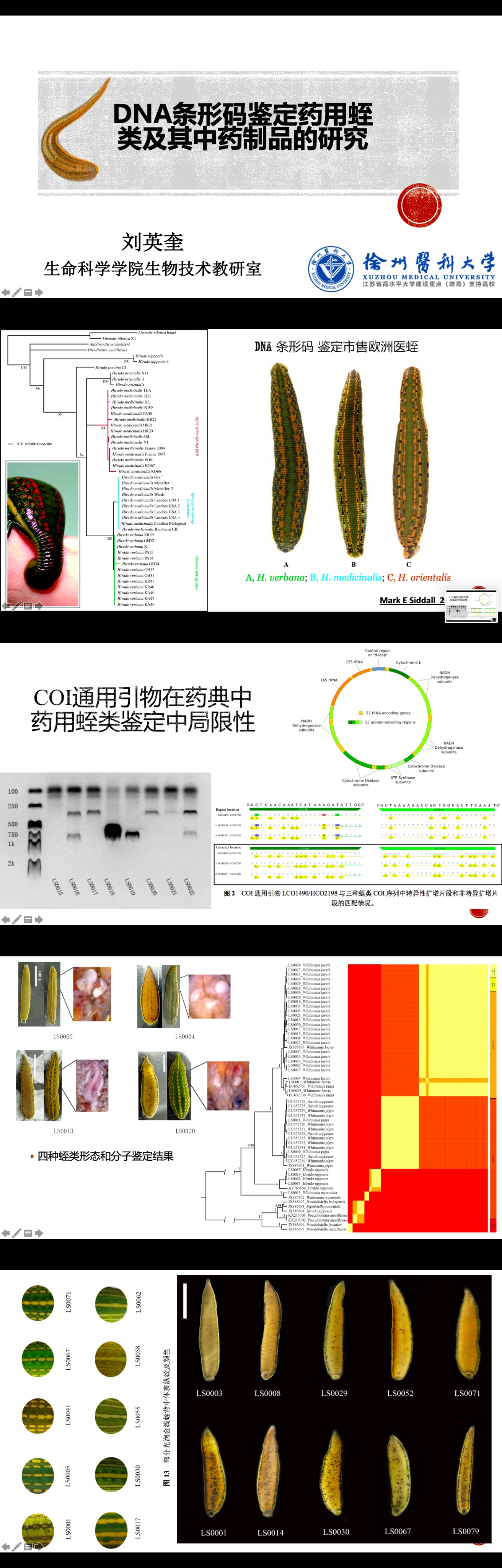 生命科学学院顺利举办2022年学术沙龙系列活动（六）-生命科学学院官网